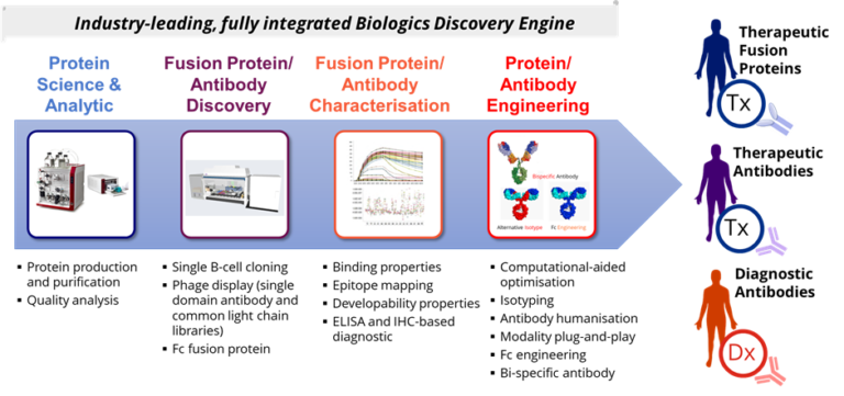 Therapeutic Protein & Antibody Discovery - EDDC