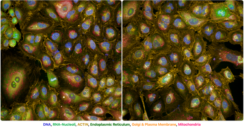 High Throughput Phenomics - EDDC
