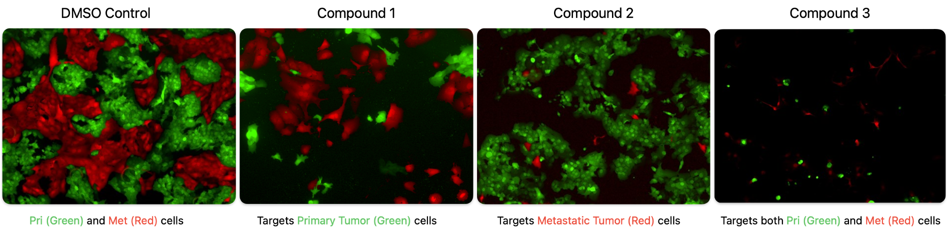 High Throughput Phenomics - EDDC