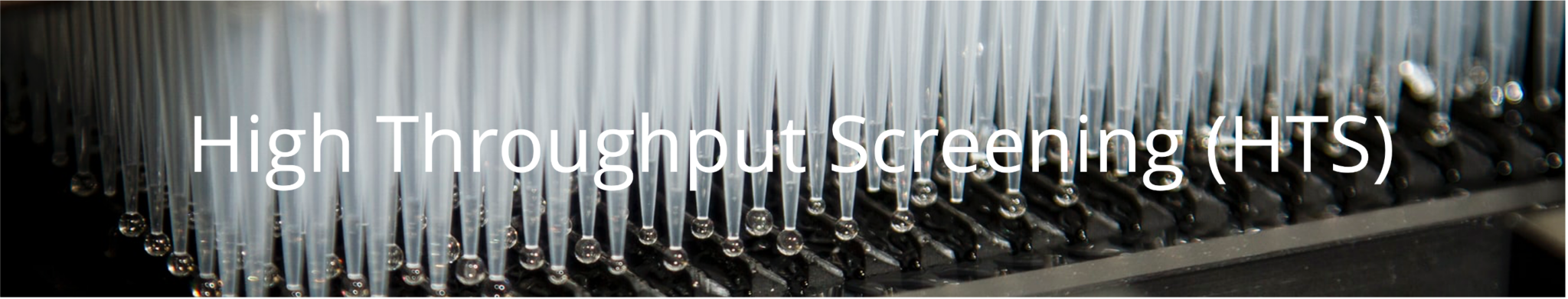 High Throughput Screening - EDDC