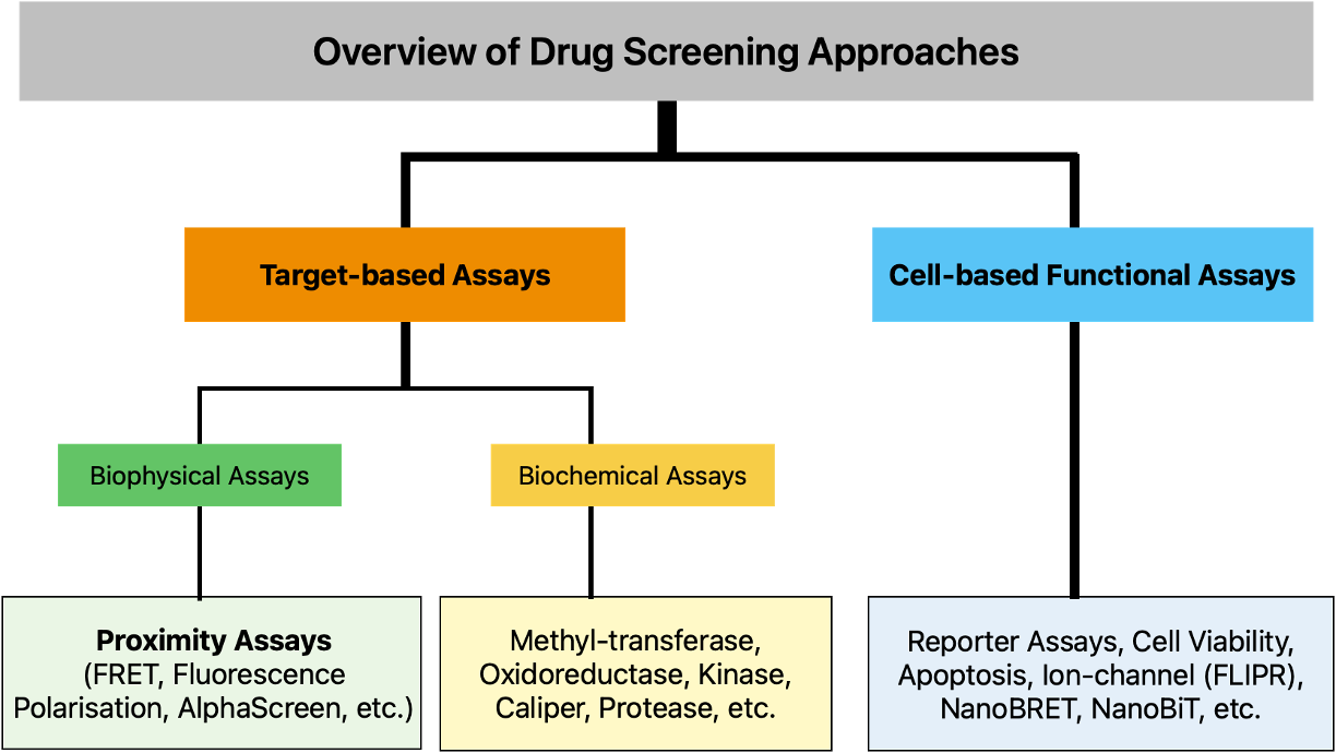 High Throughput Screening - EDDC