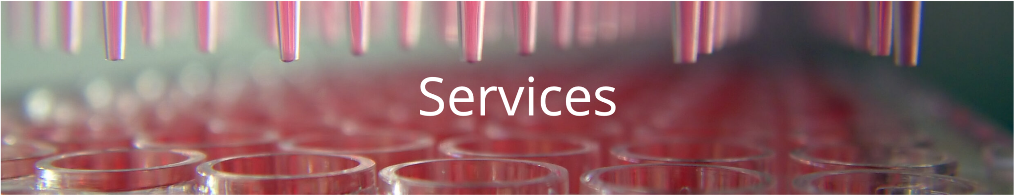 Services - EDDC